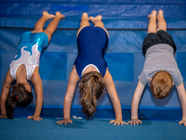 Excel Gym - Zodiak - Liste des programmes